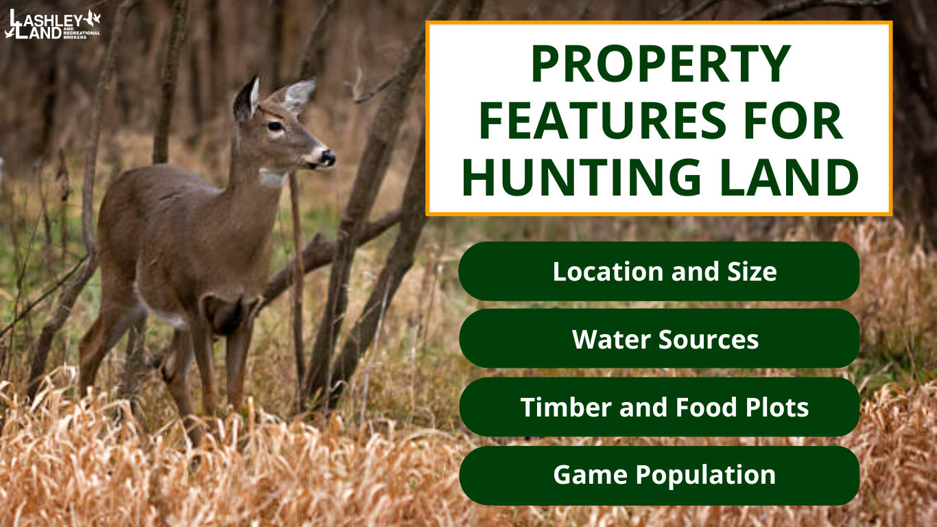 Essential Guide to Buying Hunting Land: Tips & Insights